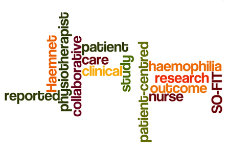 Patient-centered care needs patient-focused research - Haemnet