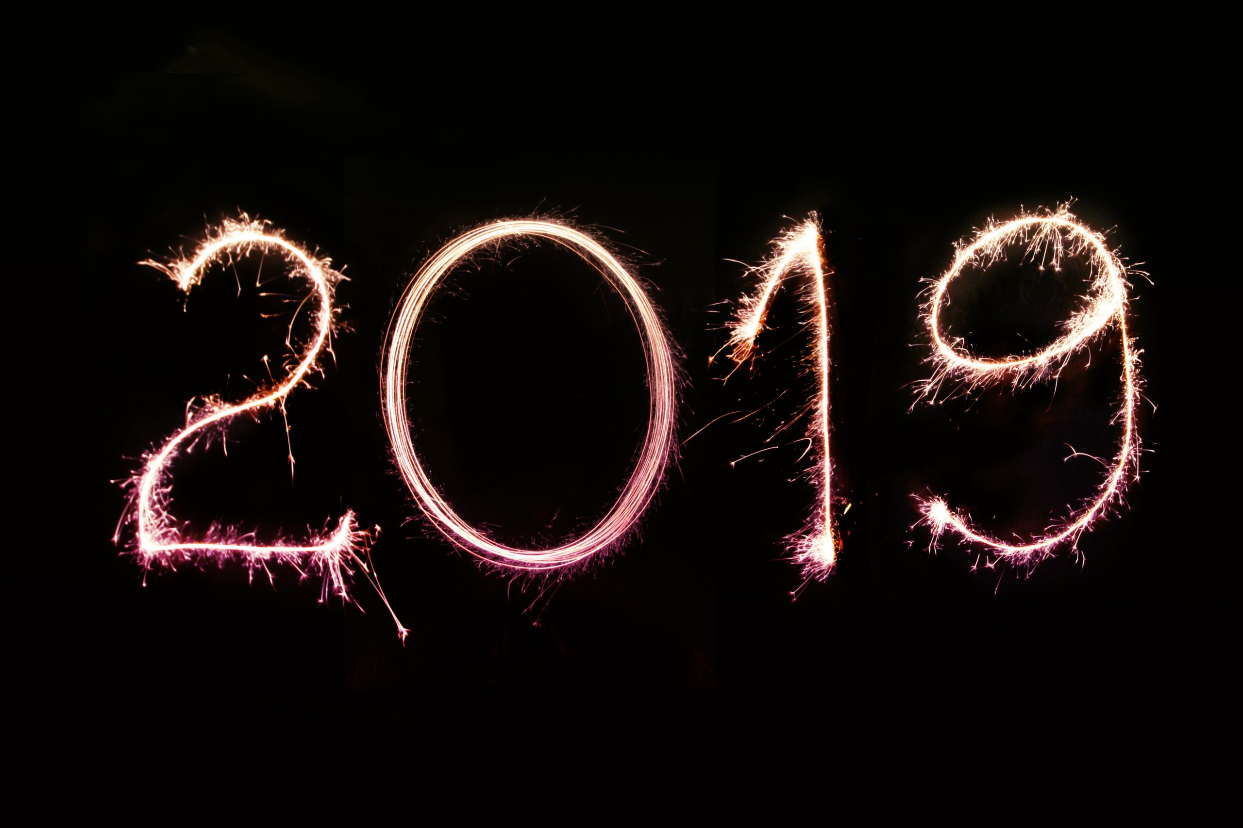 2019 in review - Haemnet